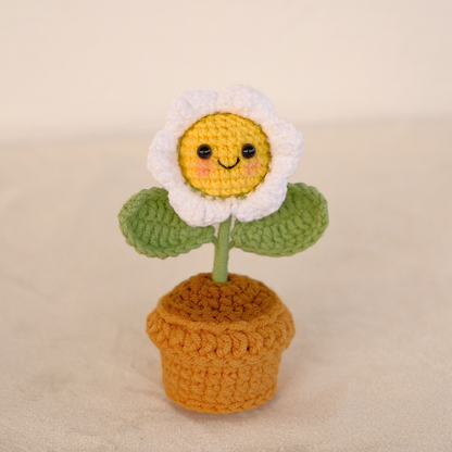 Handmade Crochet Mini Daisy Flower Gift | Cheeky Jolly Pot – Jolly Pally