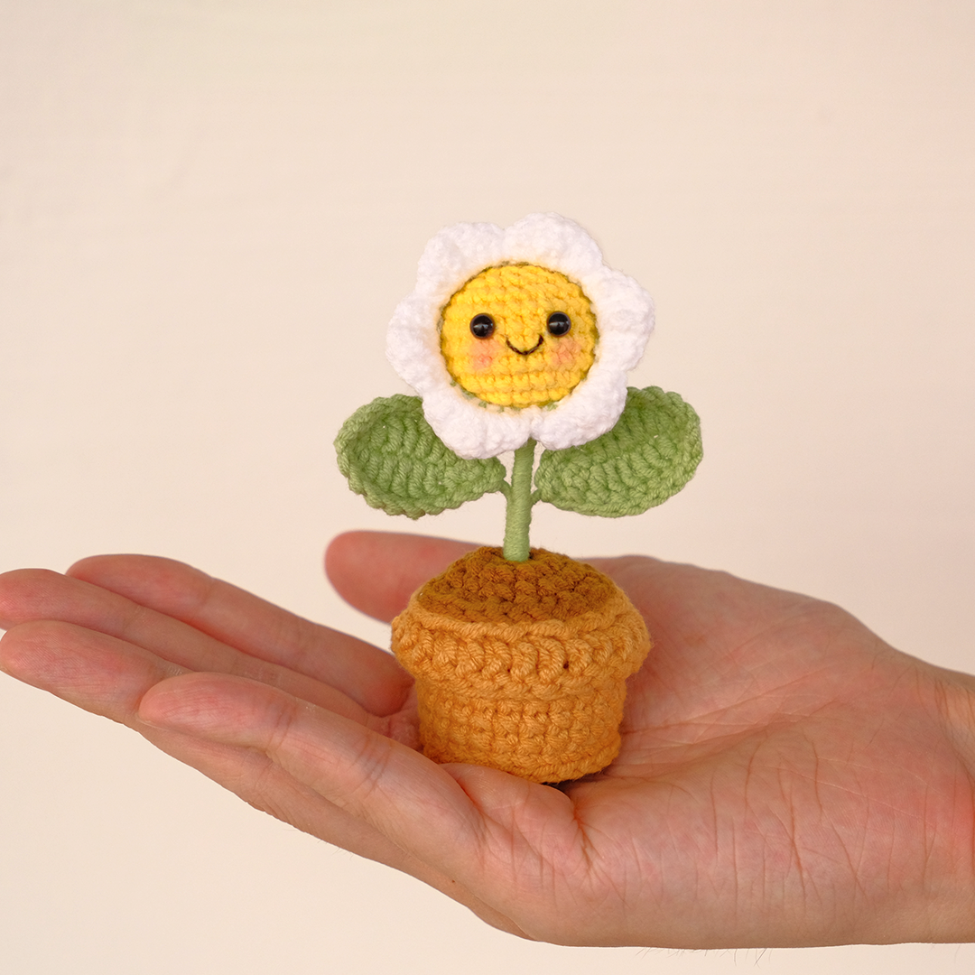 Handmade Crochet Mini Daisy Flower Gift | Cheeky Jolly Pot – Jolly Pally